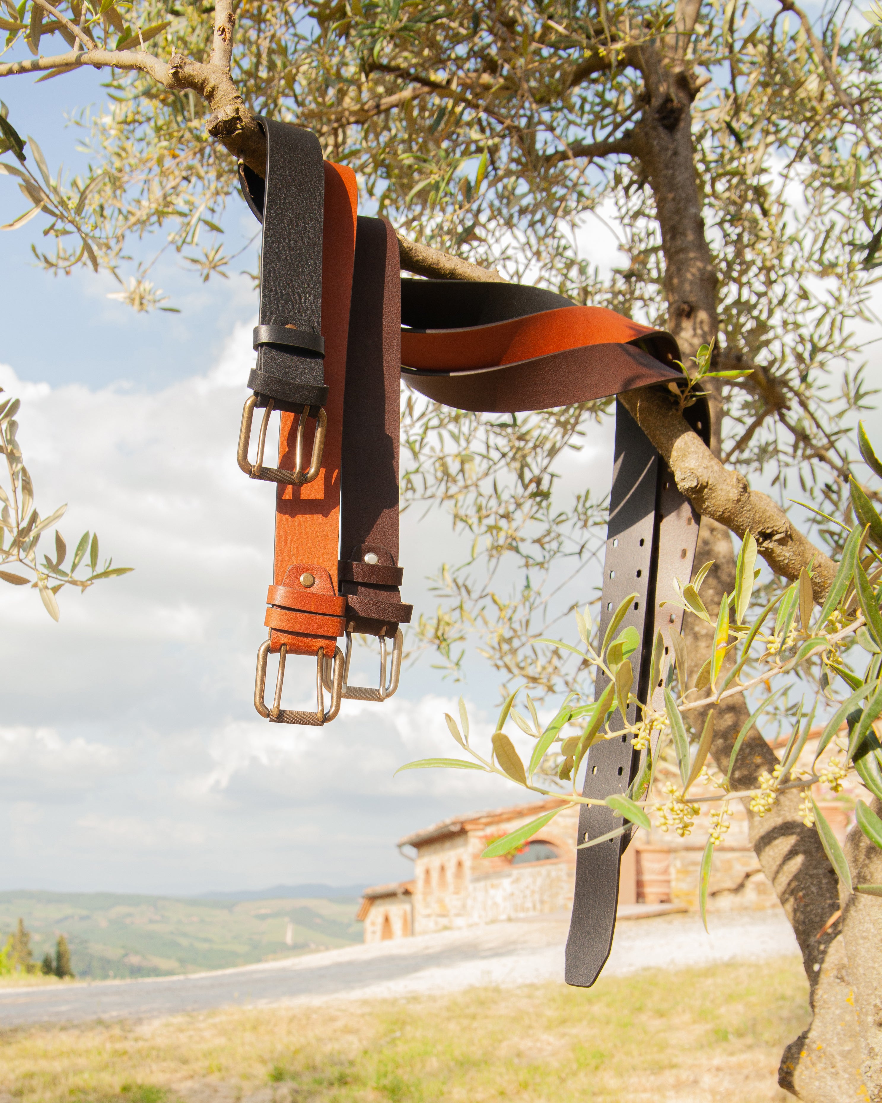 MAREMMA – Tuscan Bull